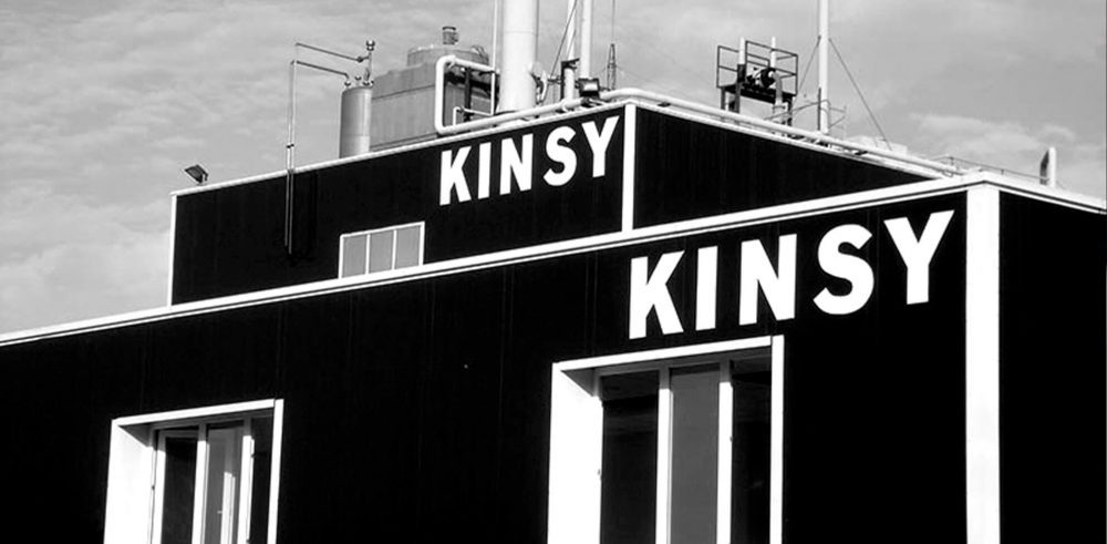 Historia – Quiénes somos – Kinsy